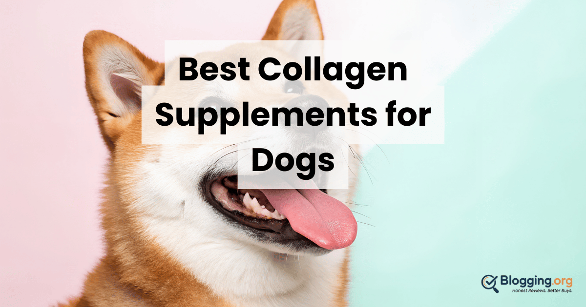 Best Collagen Supplements for Dogs (2026) – Top 10 Reviewed - Blogging.org
