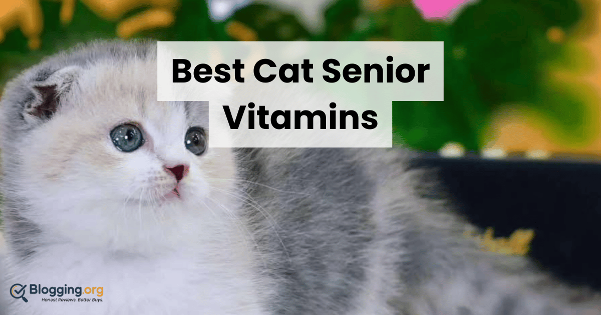 Best Cat Senior Vitamins (2026) – Top 10 Reviewed - Blogging.org