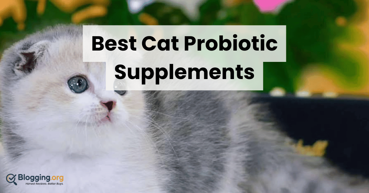 Best Cat Probiotic Supplements (2026) – Top 10 Reviewed - Blogging.org